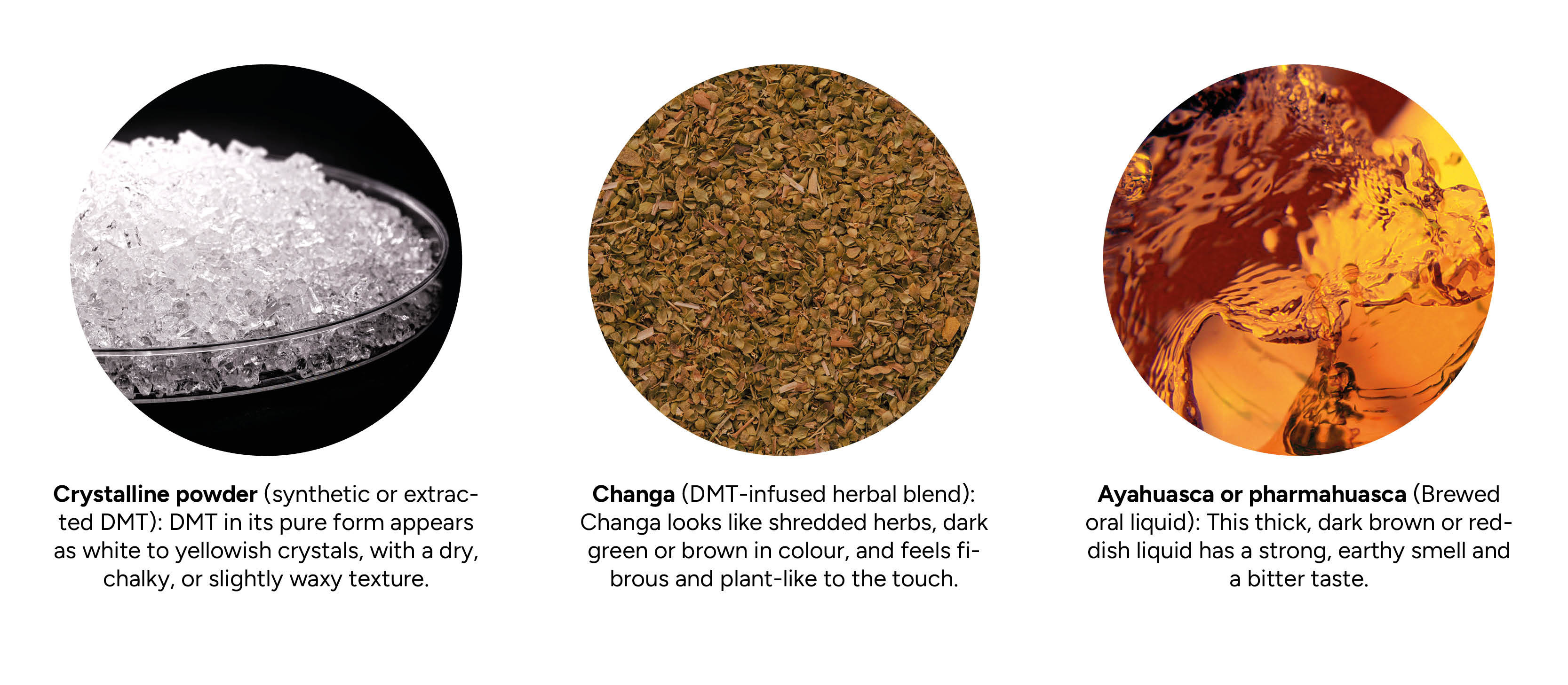 What is DMT? Everything you need to know - Zamnesia UK